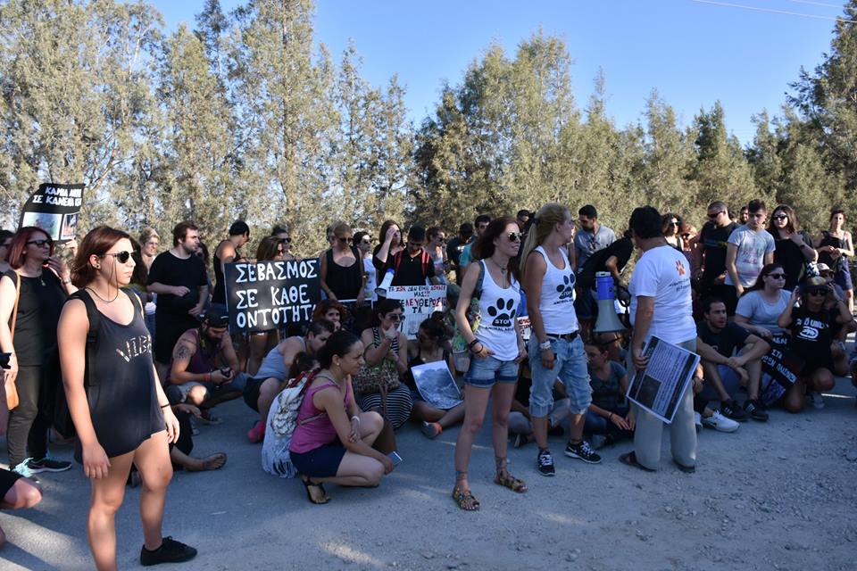 What we stand for - ΚΟΜΜΑ ΓΙΑ ΤΑ ΖΩΑ ΚΥΠΡΟΥ