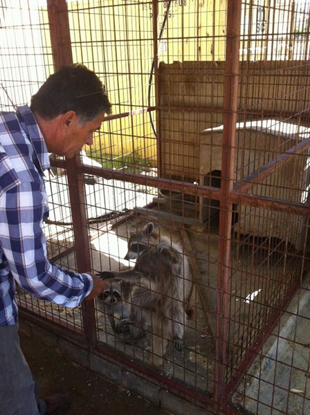 The review of zoo legislation - ΚΟΜΜΑ ΓΙΑ ΤΑ ΖΩΑ ΚΥΠΡΟΥ