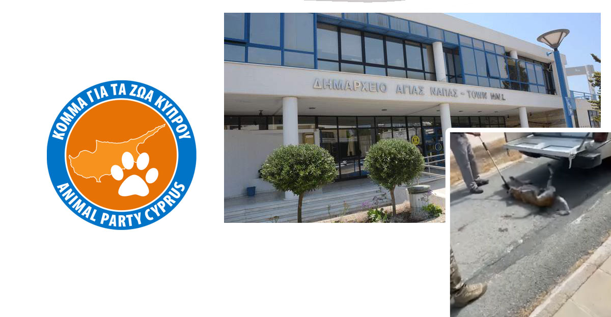 «Φυσικός χώρος» ενός σκύλου δεν είναι το στρατόπεδο - ΚΟΜΜΑ ΓΙΑ ΤΑ ΖΩΑ ...