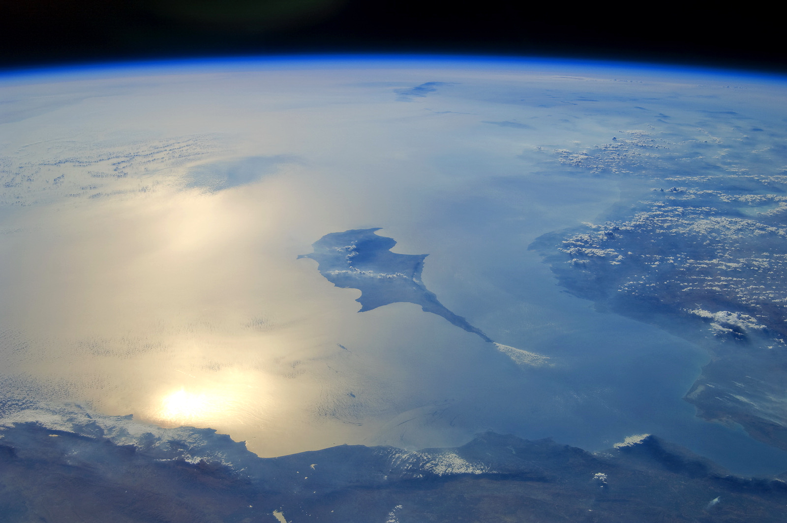 Το Κυπριακό (Εθνικό) πρόβλημα - ΚΟΜΜΑ ΓΙΑ ΤΑ ΖΩΑ ΚΥΠΡΟΥ